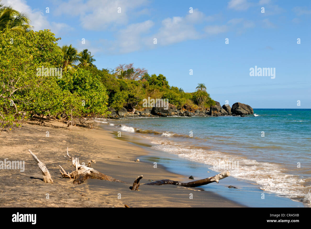 Deserted sandy beach on the island of Mayotte, Africa Stock Photo - Alamy