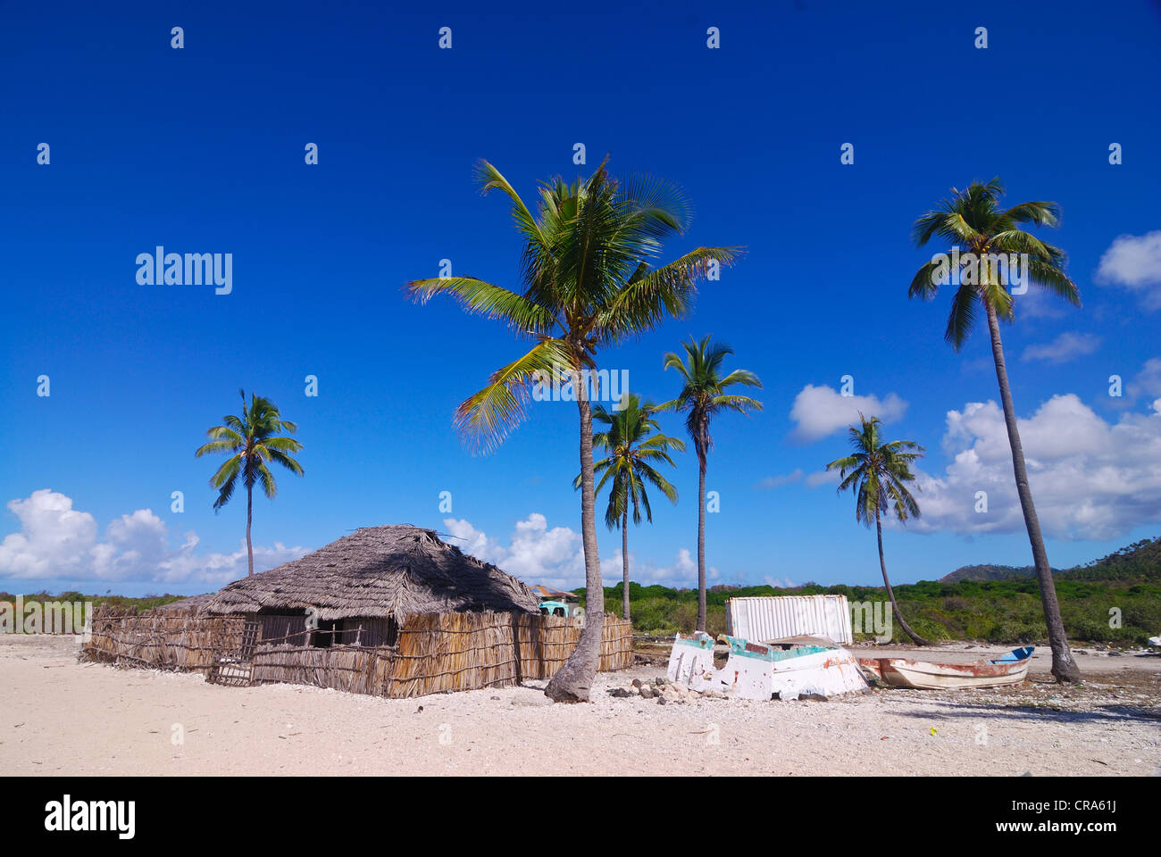 Hut on the beach surrounded by palm trees, Grand Comore island, also ...