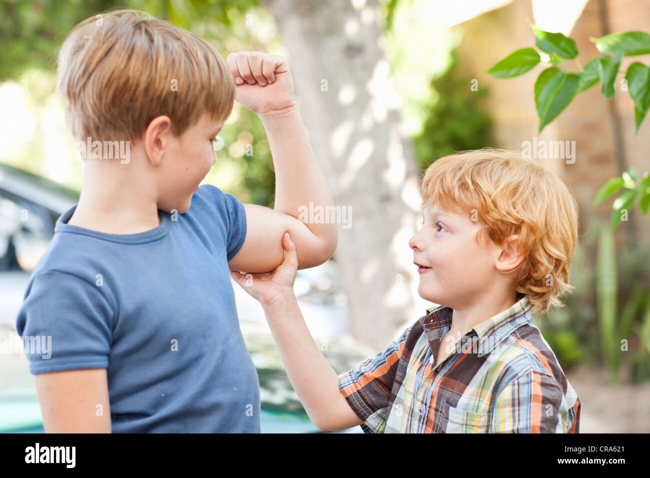 Boy feeling brothers biceps outdoors Stock Photo - Alamy