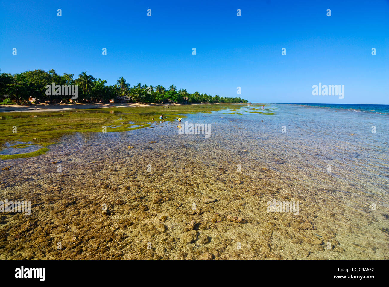 Idyllic beach with crystal clear water on Santa Maria island ...