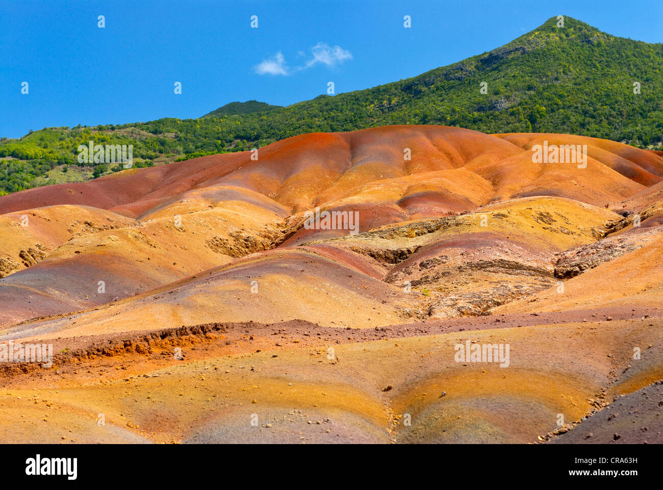 Mauritius backdrop hi-res stock photography and images - Alamy