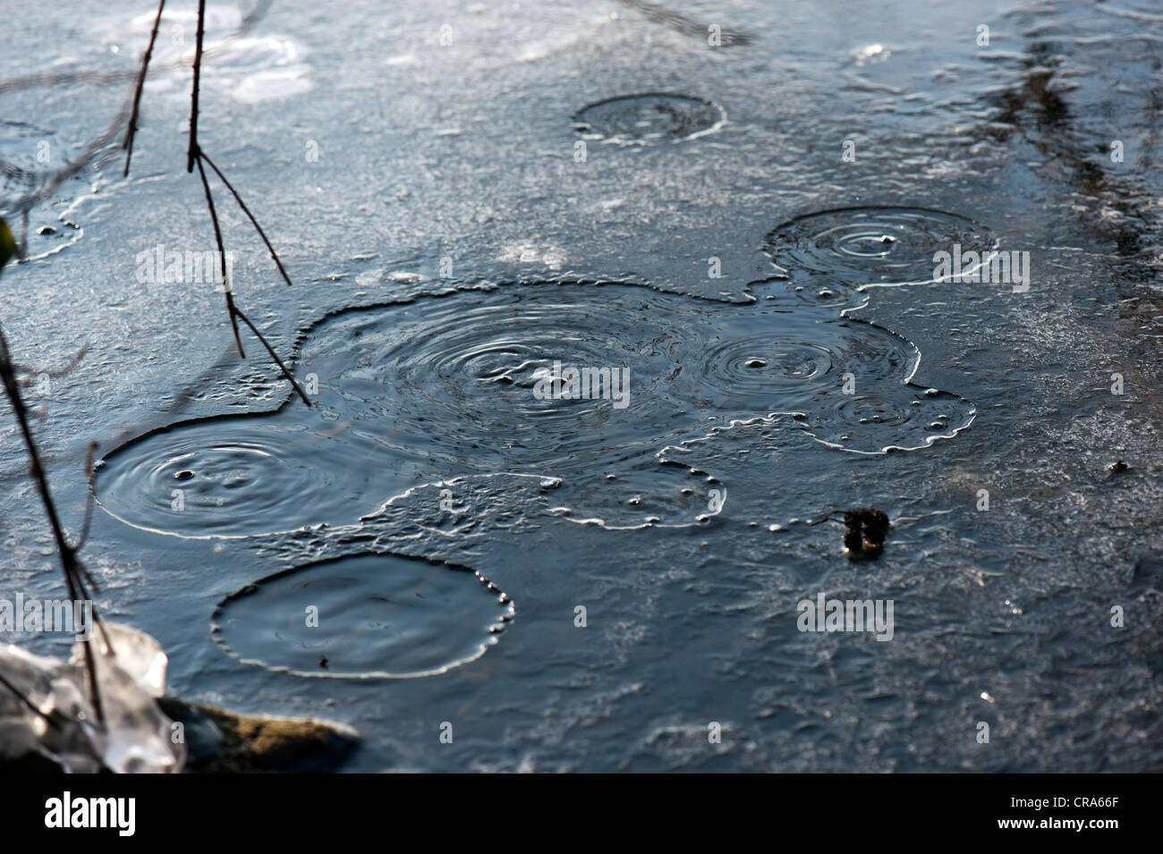 Bubbles, carbon dioxide escaping, mofette or mofettes, Laacher See ...