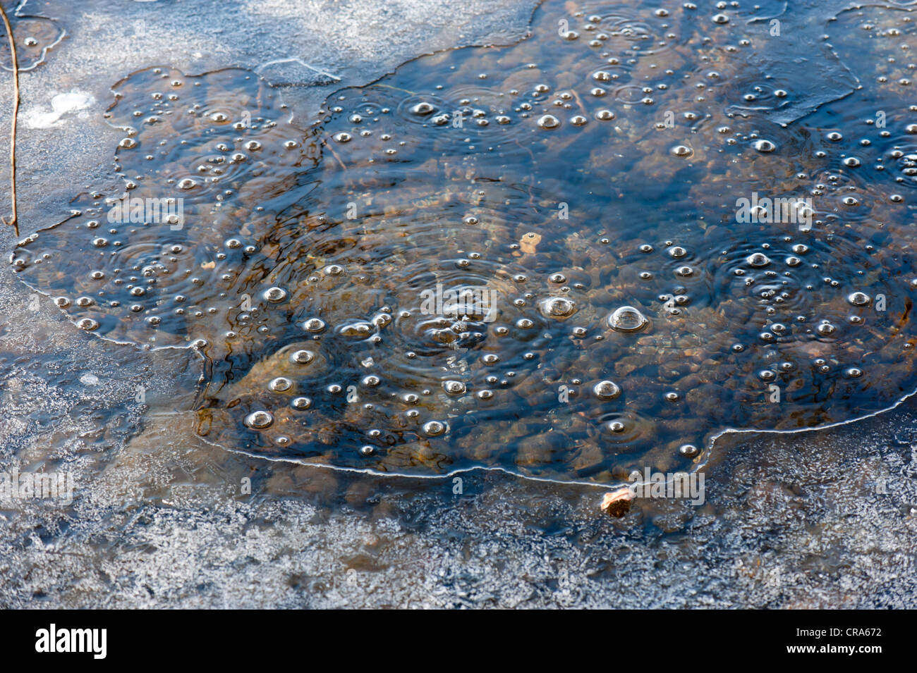 Bubbles, carbon dioxide escaping, mofette or mofettes, Laacher See ...