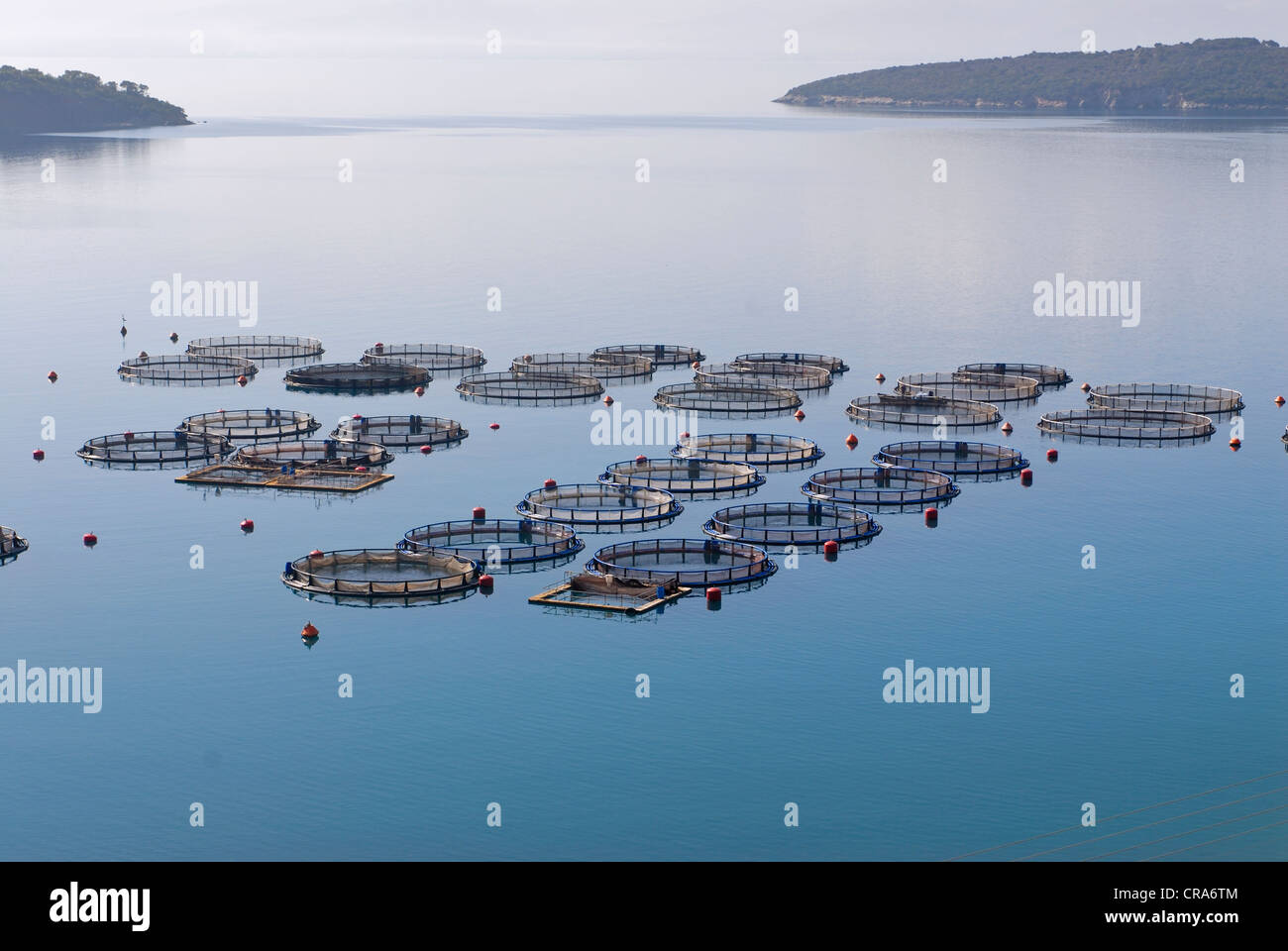 Fish breeding center in a quiet bay of the Mediterranean, near Galaxidi ...