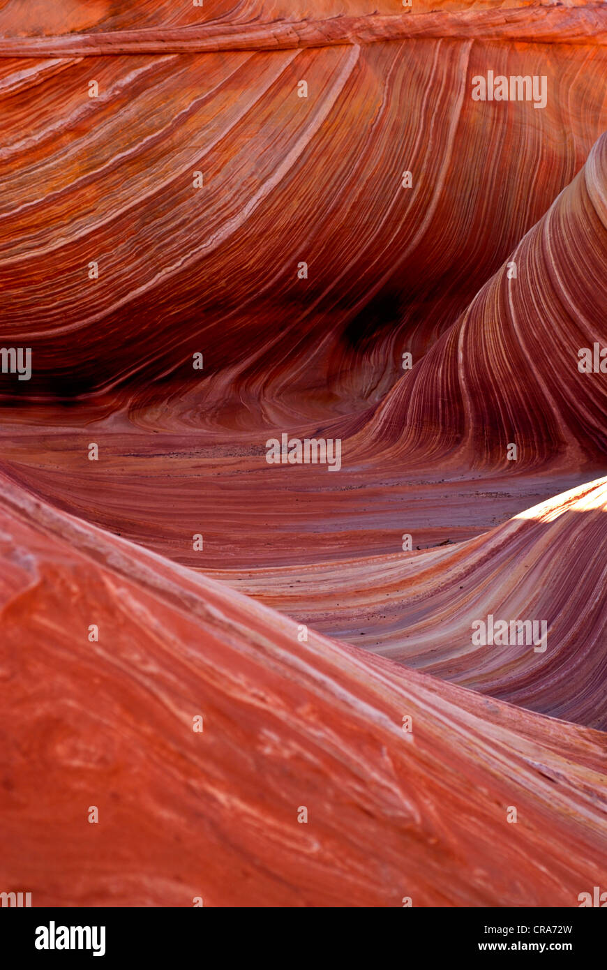 The Wave, Vermillion Cliffs, Utah, USA, America Stock Photo - Alamy