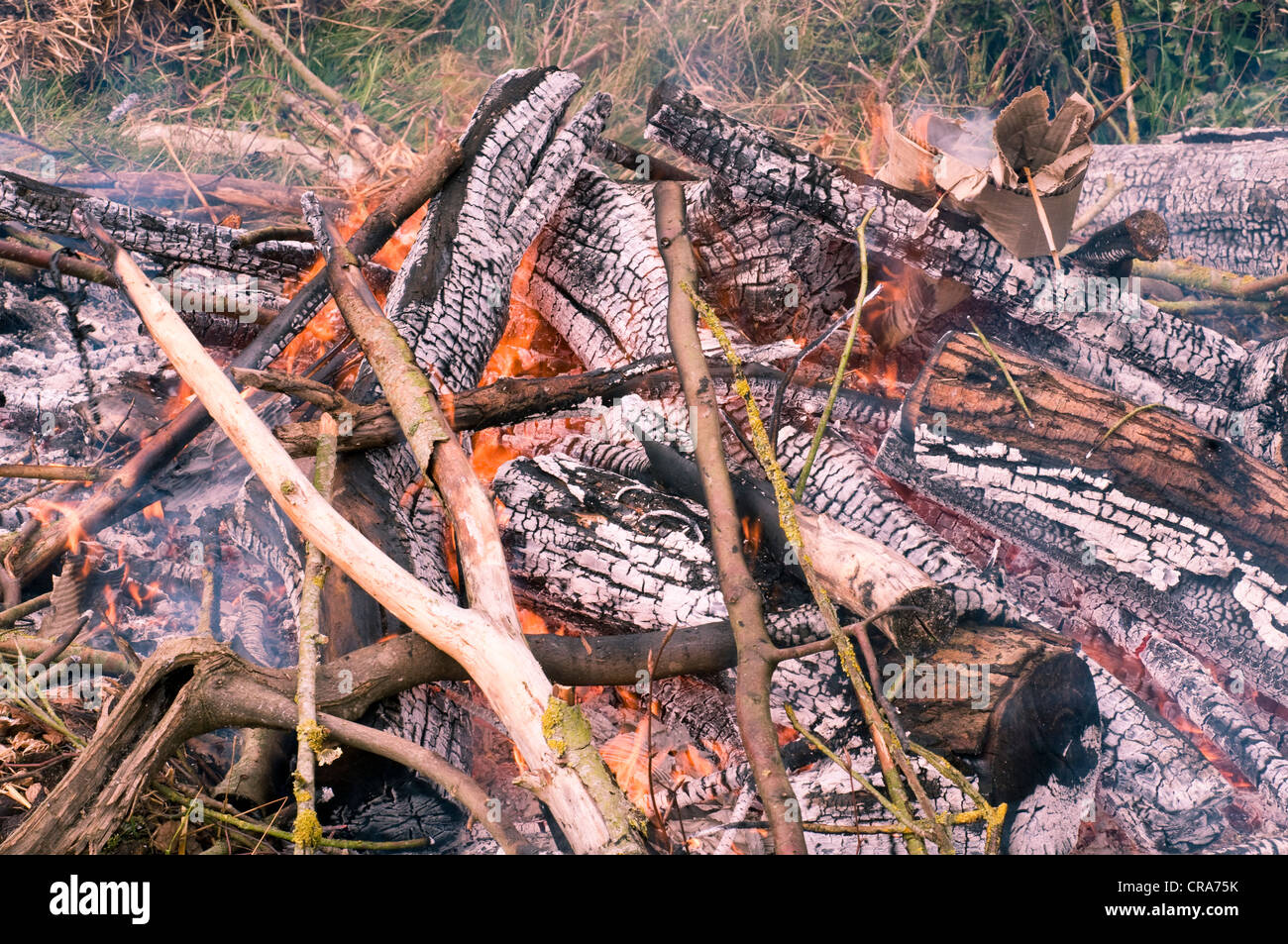 Wildfire wood hi-res stock photography and images - Alamy