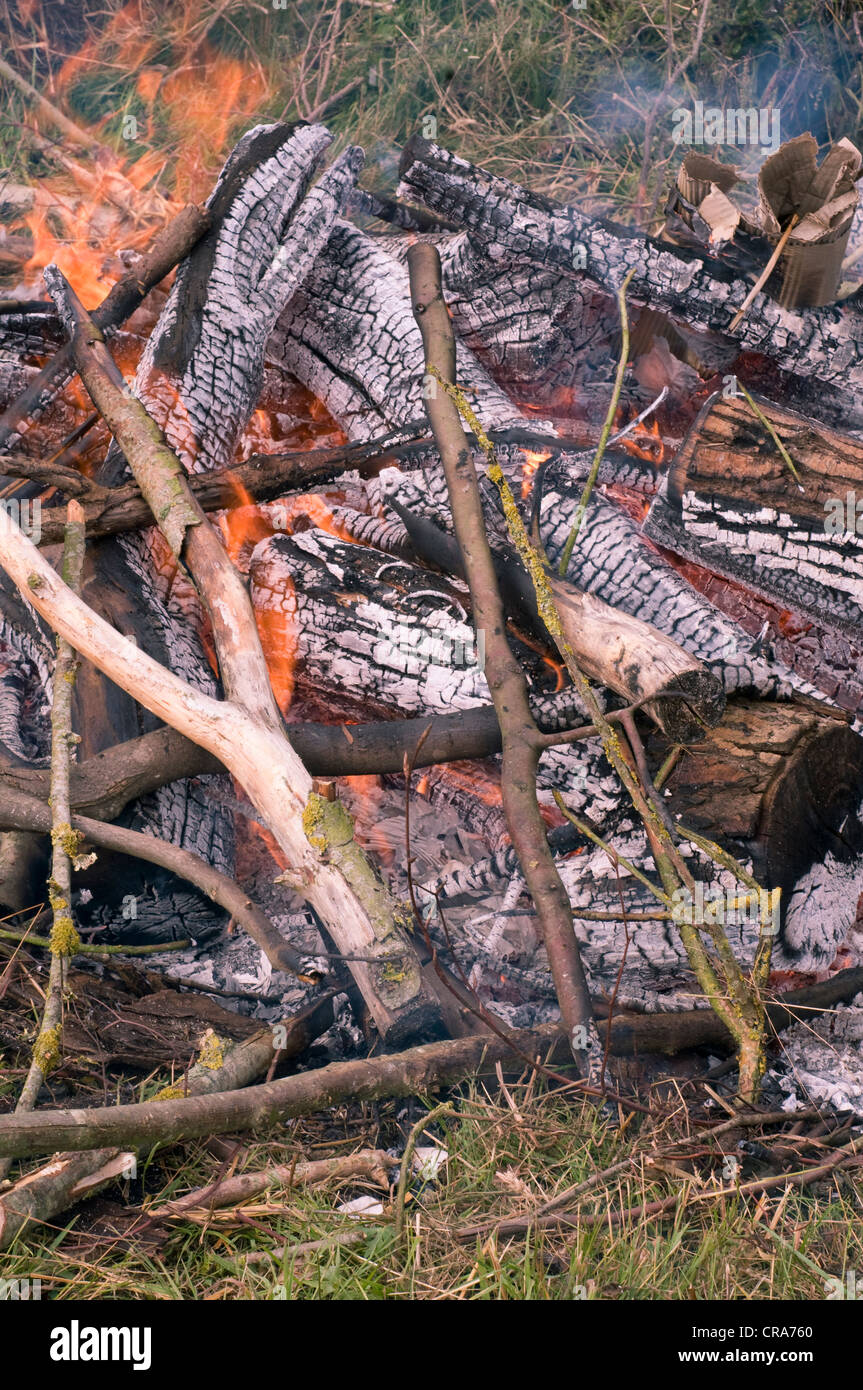 Wildfire wood hi-res stock photography and images - Alamy