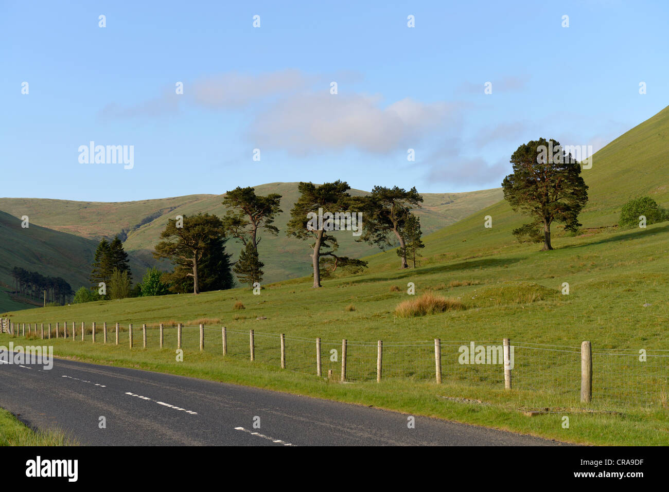 Scottish Borders Deserted Road -1 Stock Photo - Alamy