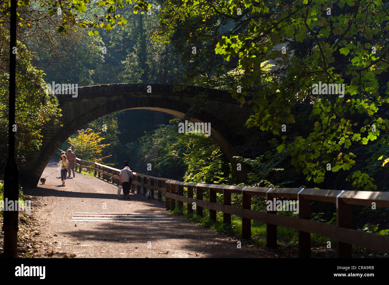 Walking in Jesmond Dene Stock Photo - Alamy
