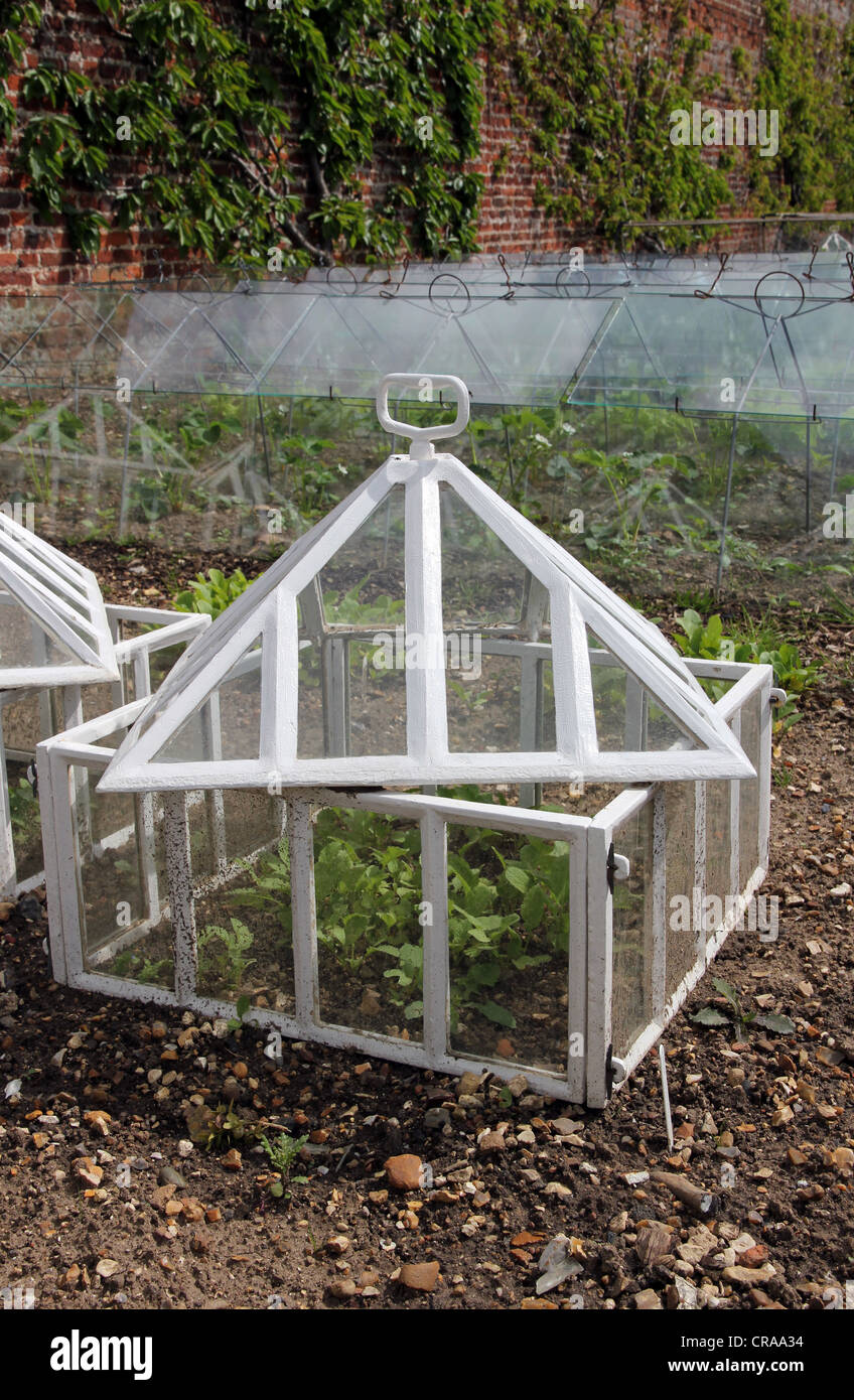 Mini cold frame in garden hi-res stock photography and images - Alamy