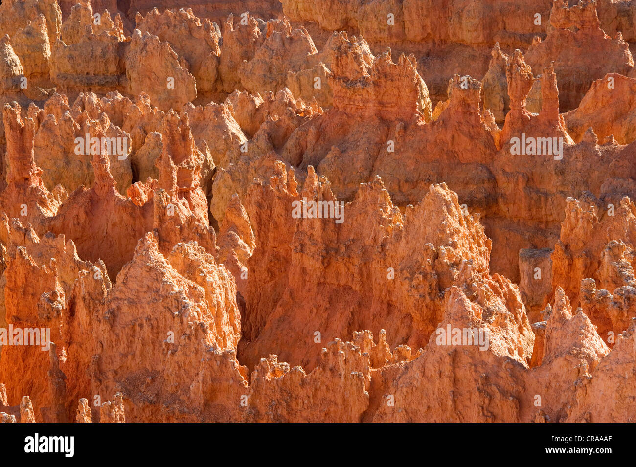 Amphitheater rock formation, Bryce Canyon National Park, Utah, USA ...