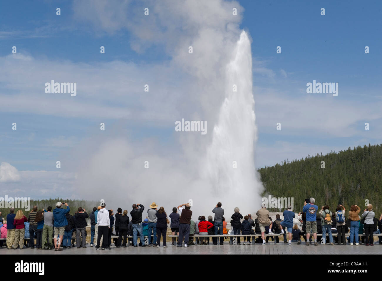 Old Faithful Geyser, Yellowstone National Park, Wyoming, USA Stock ...