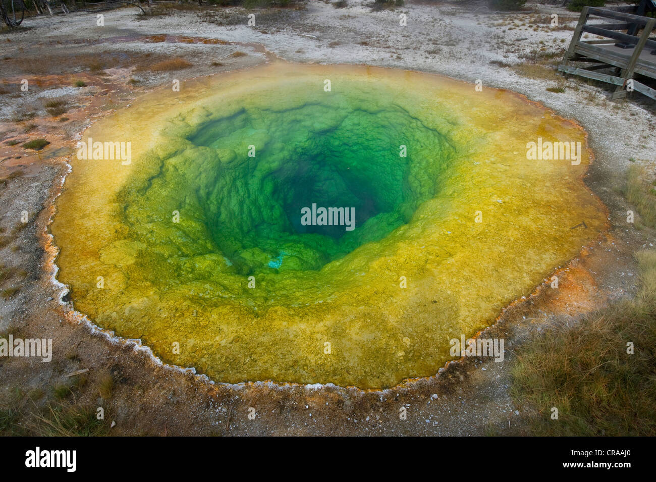 Morning Glory Pool, Upper Geyser Basin, Yellowstone National Park ...