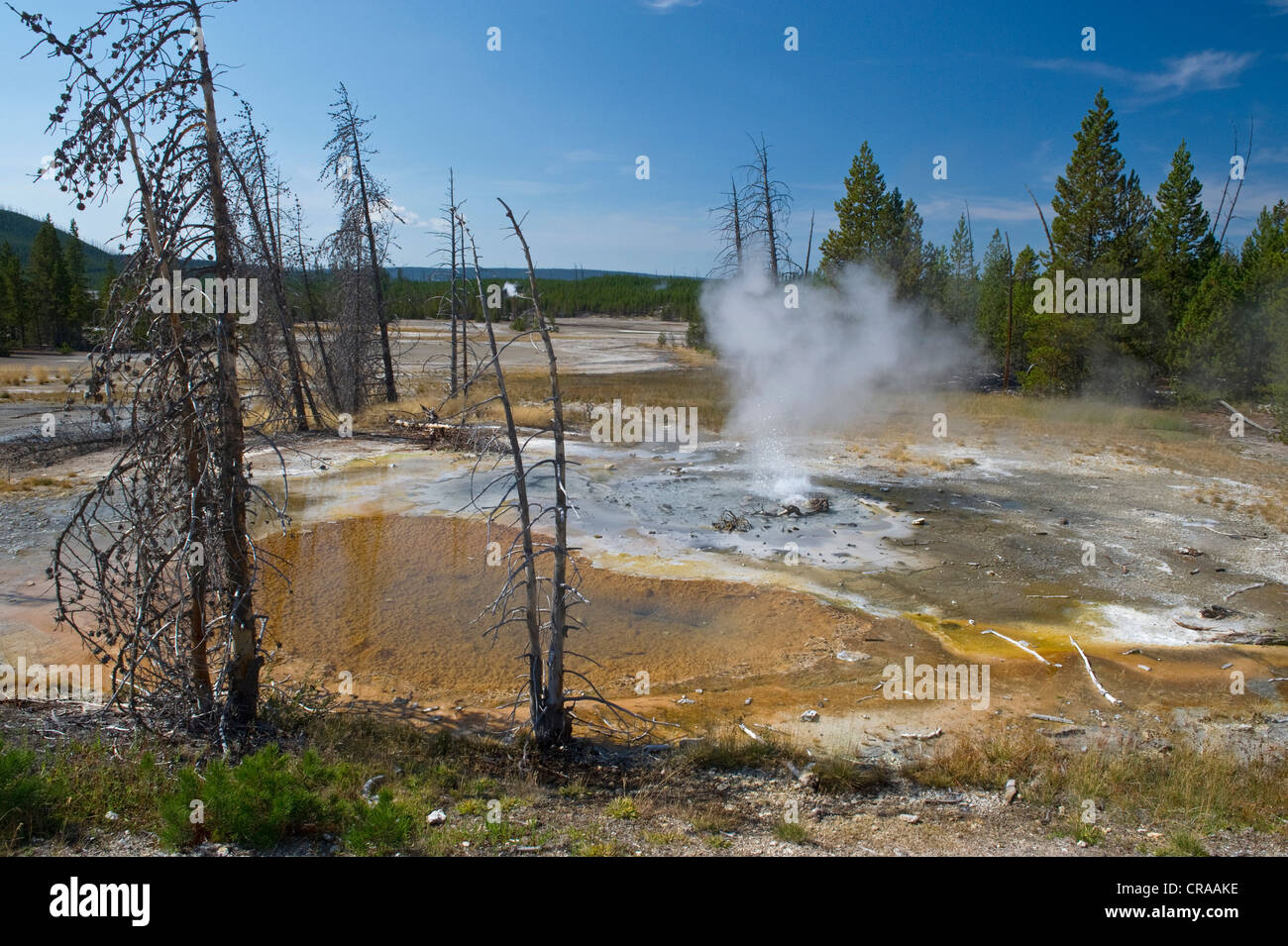 Yellowstone smoking geysers hi-res stock photography and images - Alamy