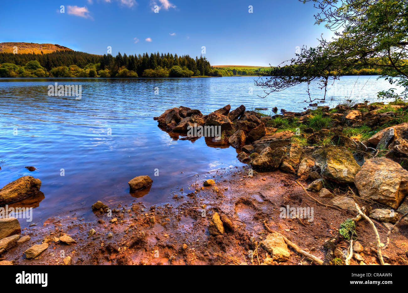 Burrator reservoir dartmoor national park hi-res stock photography and ...