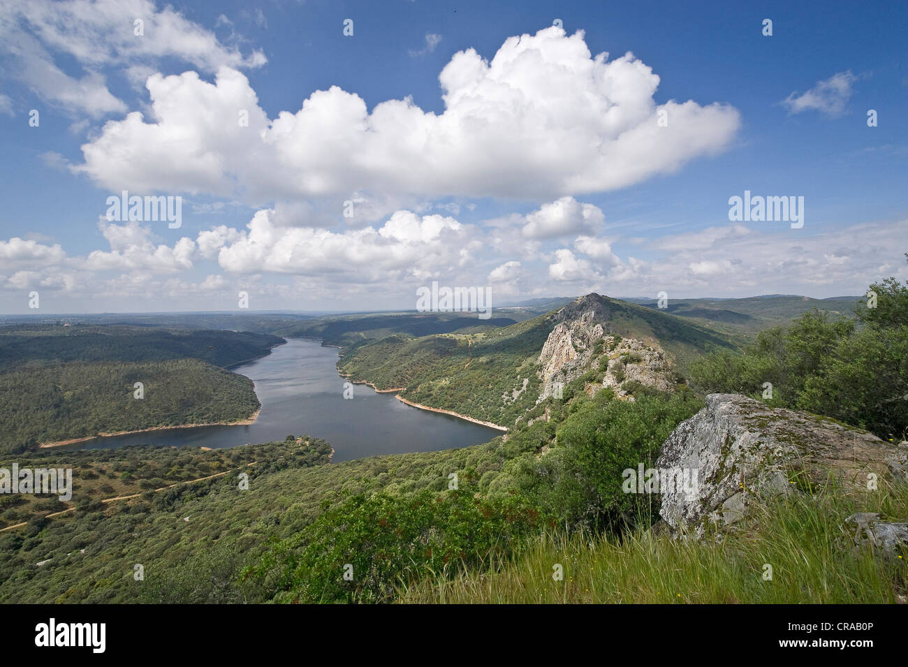 Tajo river hi-res stock photography and images - Alamy