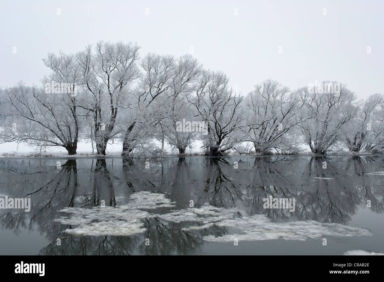 Alder river hi-res stock photography and images - Alamy