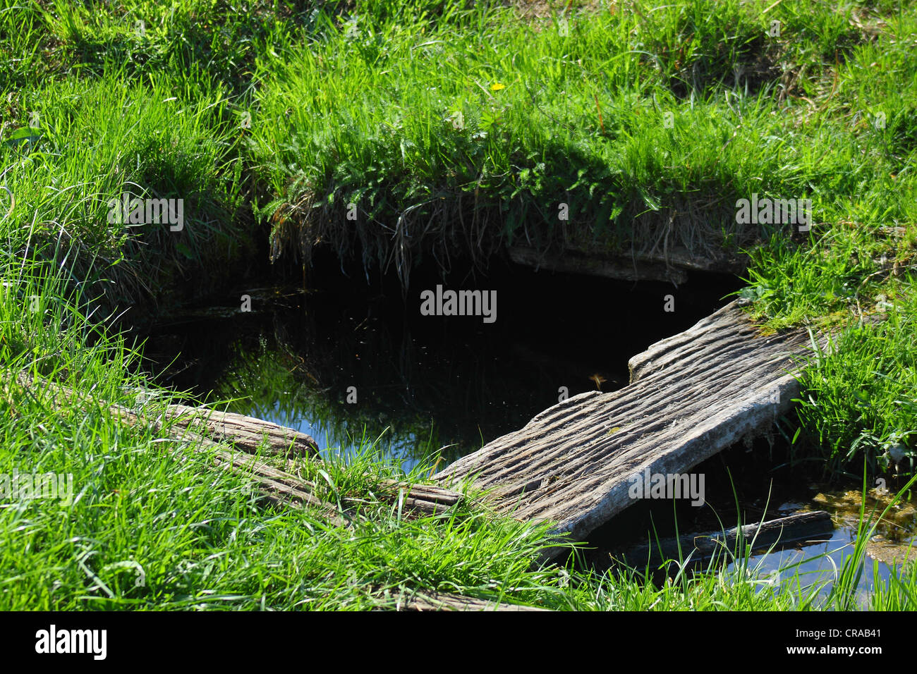 Photo of an old source of water in spring day Stock Photo - Alamy