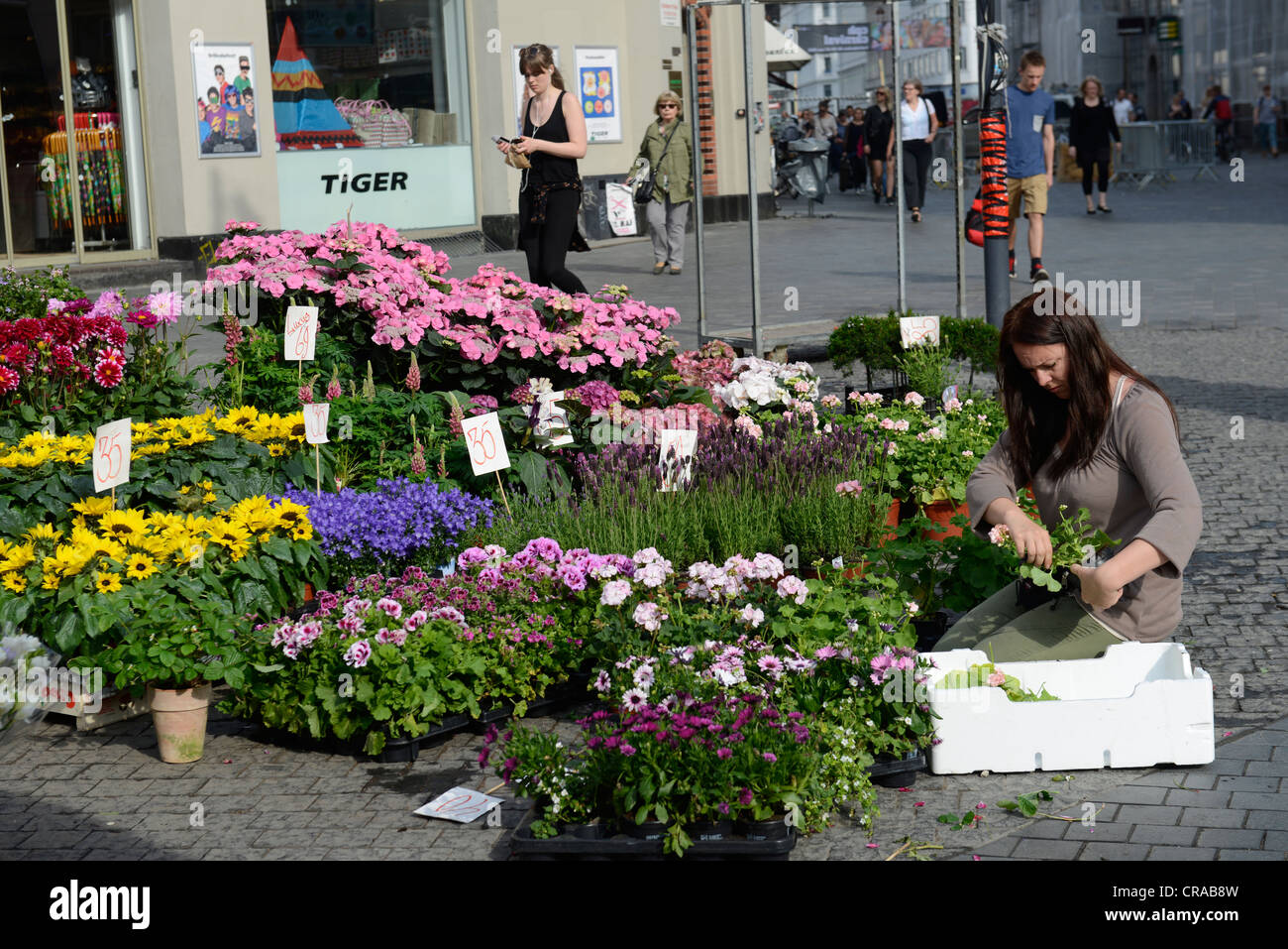 Copenhagen Flower High Resolution Stock Photography and Images - Alamy