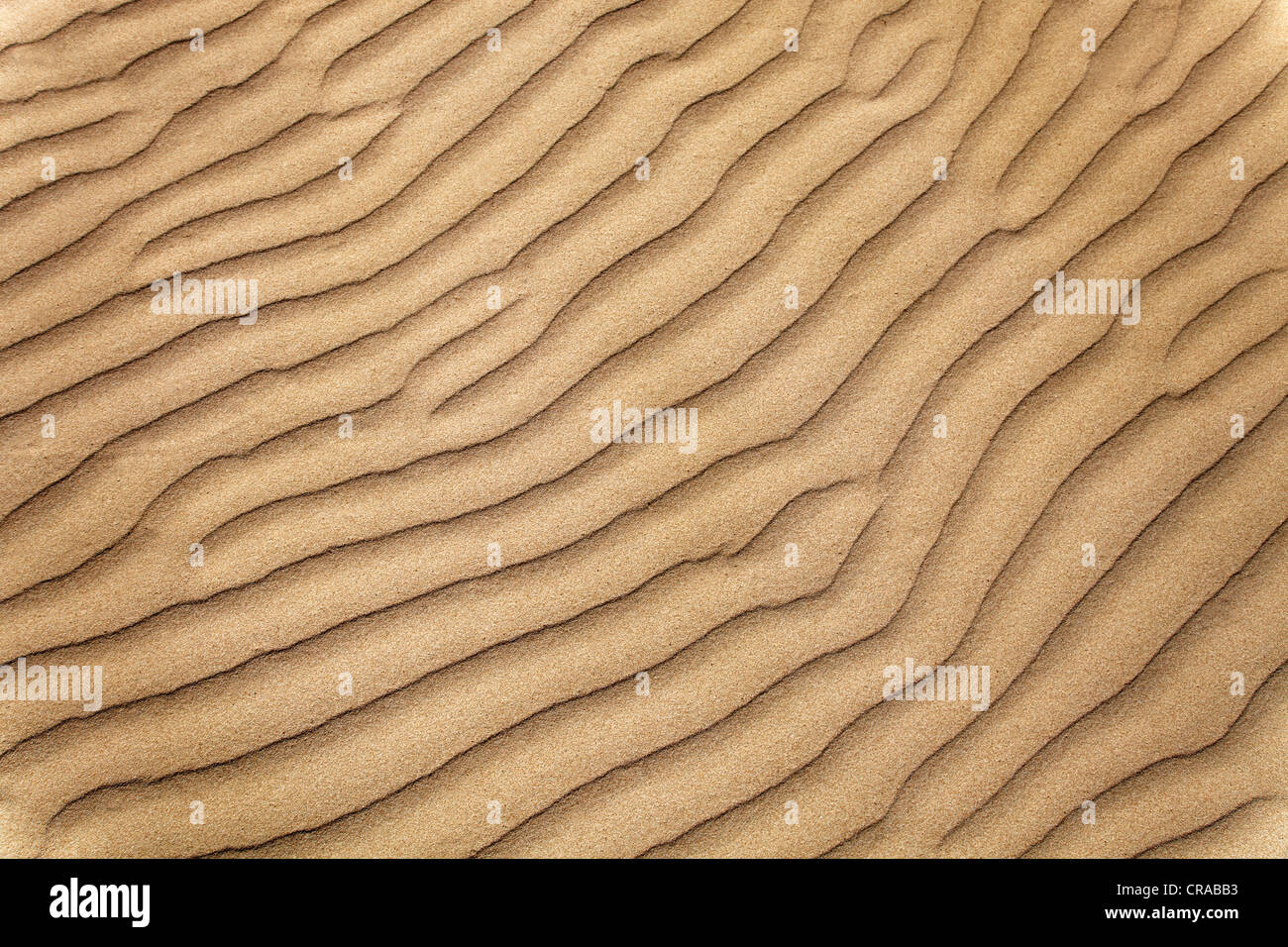 Desert sand, wave patterns, dune, Salalah, Dhofar, Sultanate of Oman ...