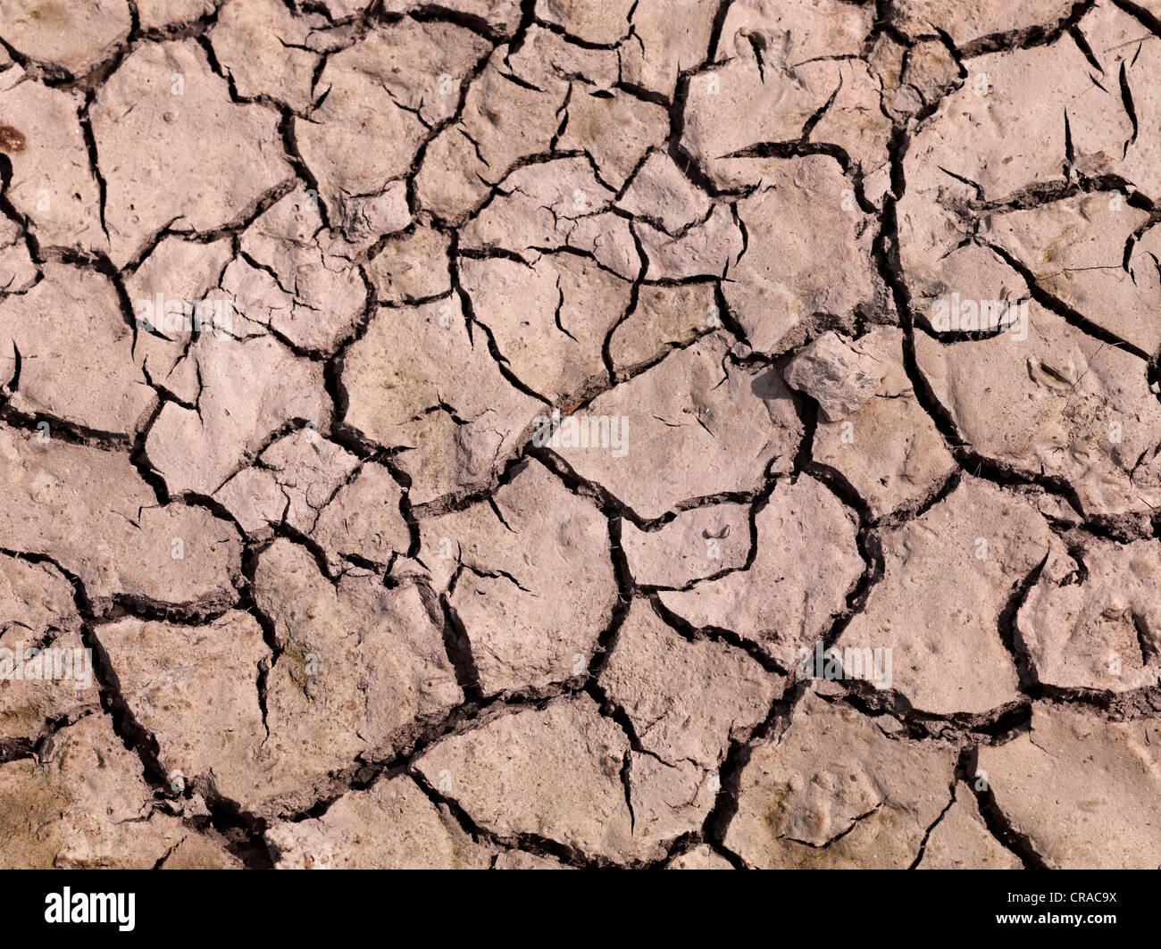 Daytime dried out europe hi-res stock photography and images - Alamy