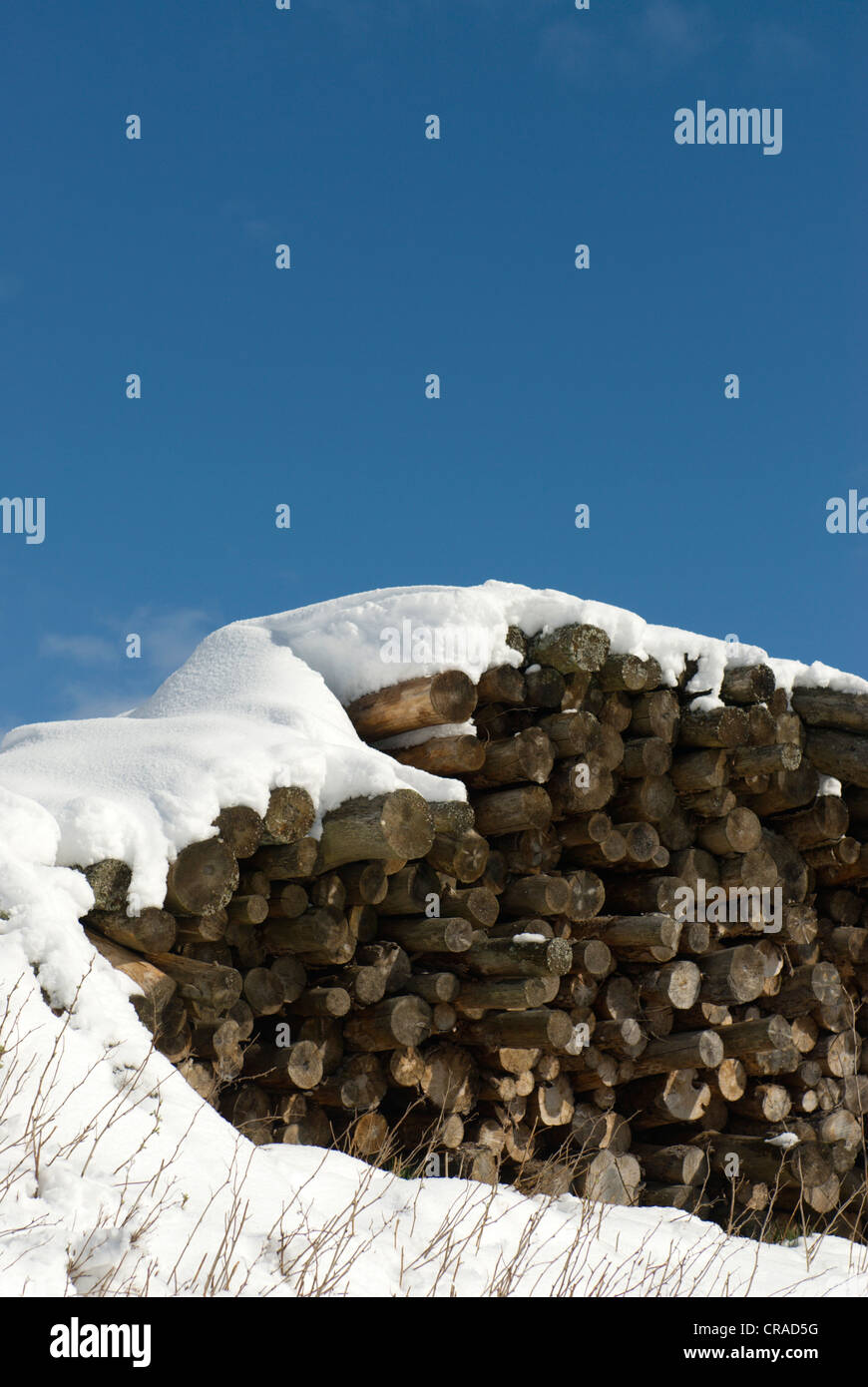 Snow appears to be wrapped around this log pile in bright sunshine ...