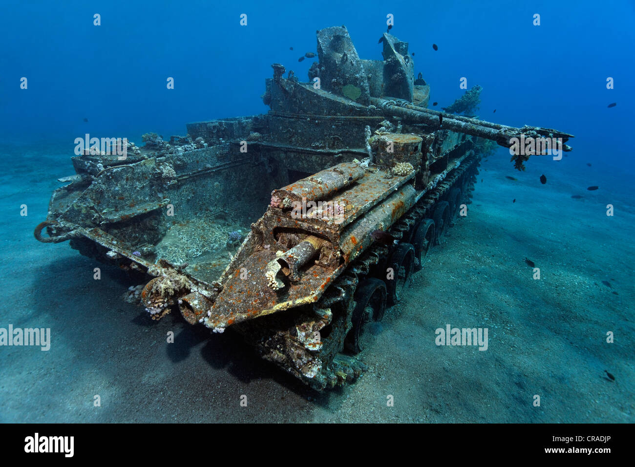 American tank M42 Duster with self-propelled 40mm anti-tircraft gun ...