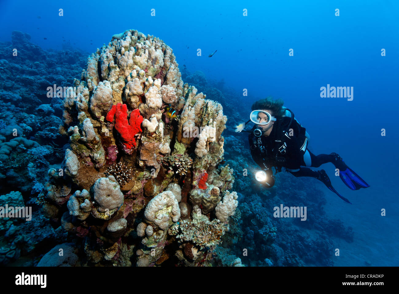 Reefslope hi-res stock photography and images - Alamy