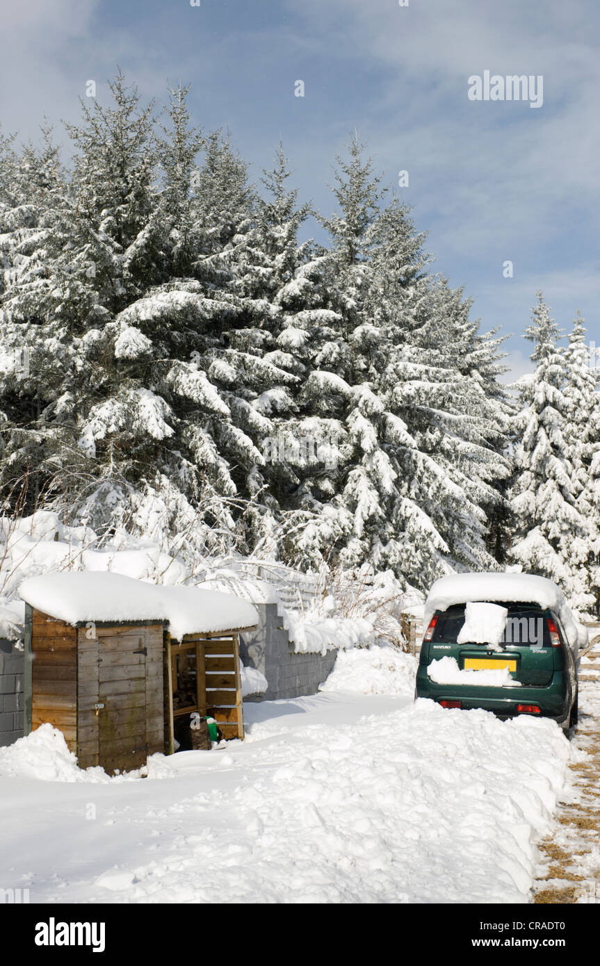 Snow bound trees hi-res stock photography and images - Alamy