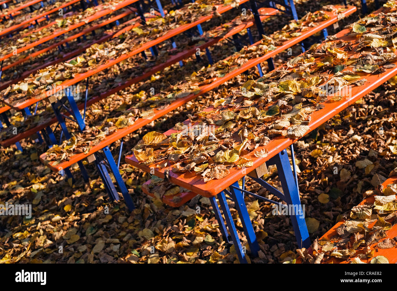 Autumn leaves on tables and benches, Bavaria, Germany, Europe Stock ...