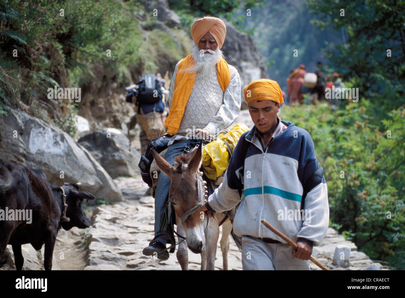 Sikh population hi-res stock photography and images - Alamy