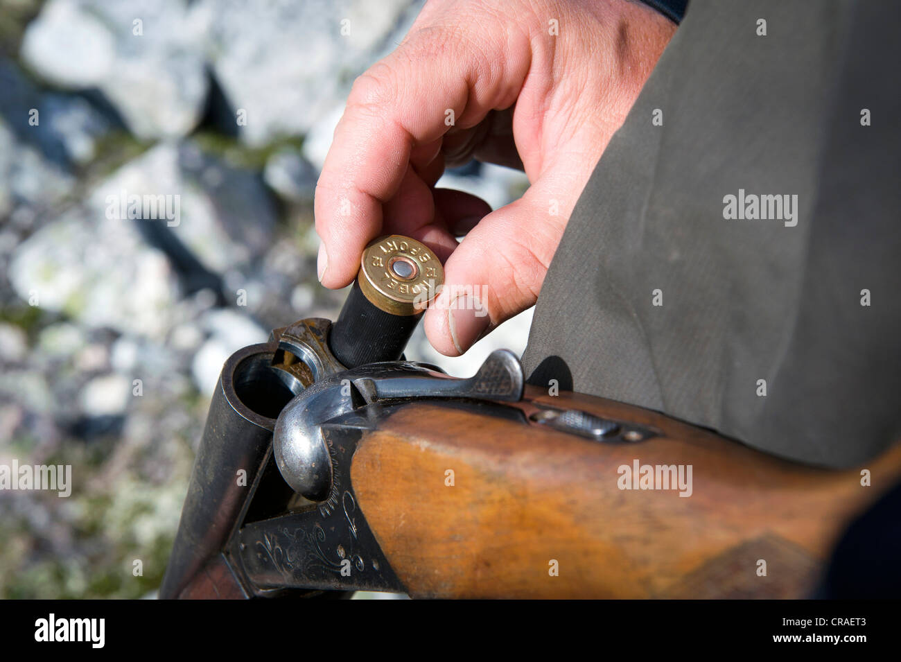 Man Inserting A Cartridge Into A Rifle Polar Bear Protection Ammassalik Peninsula At Sermilik man-inserting-a-cartridge-into-a-rifle-polar-bear-protection-ammassalik-peninsula-at-sermilik