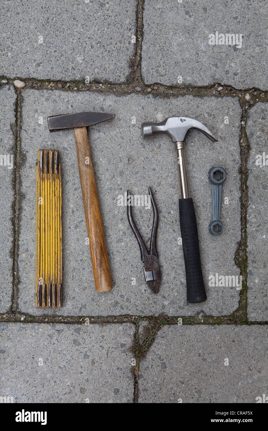 Birds that use tools hi-res stock photography and images - Alamy