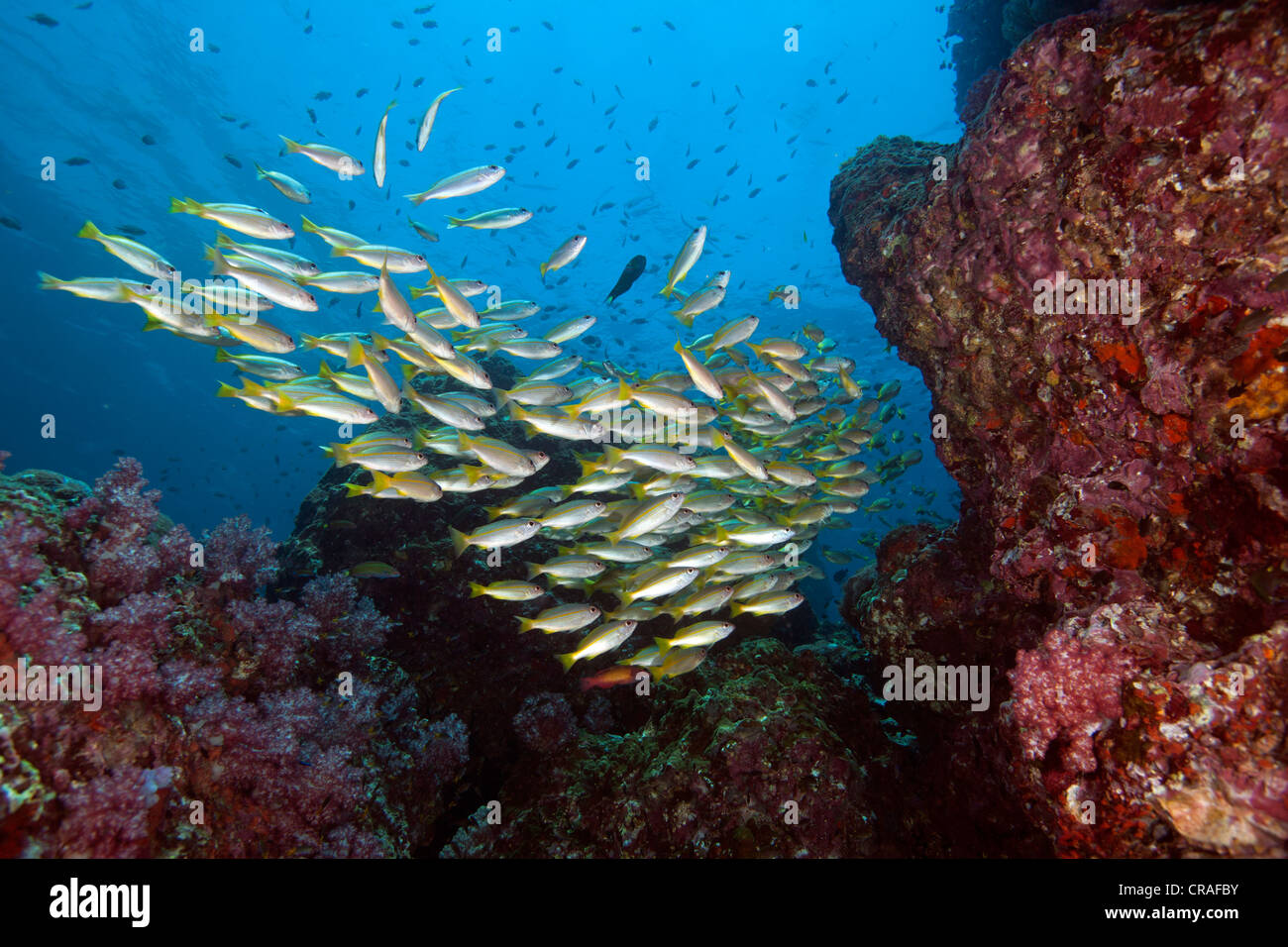 Richelieu rock hi-res stock photography and images - Alamy