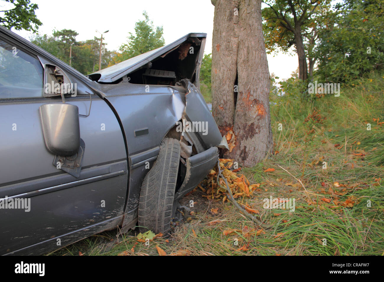 Car collision tree hi-res stock photography and images - Alamy