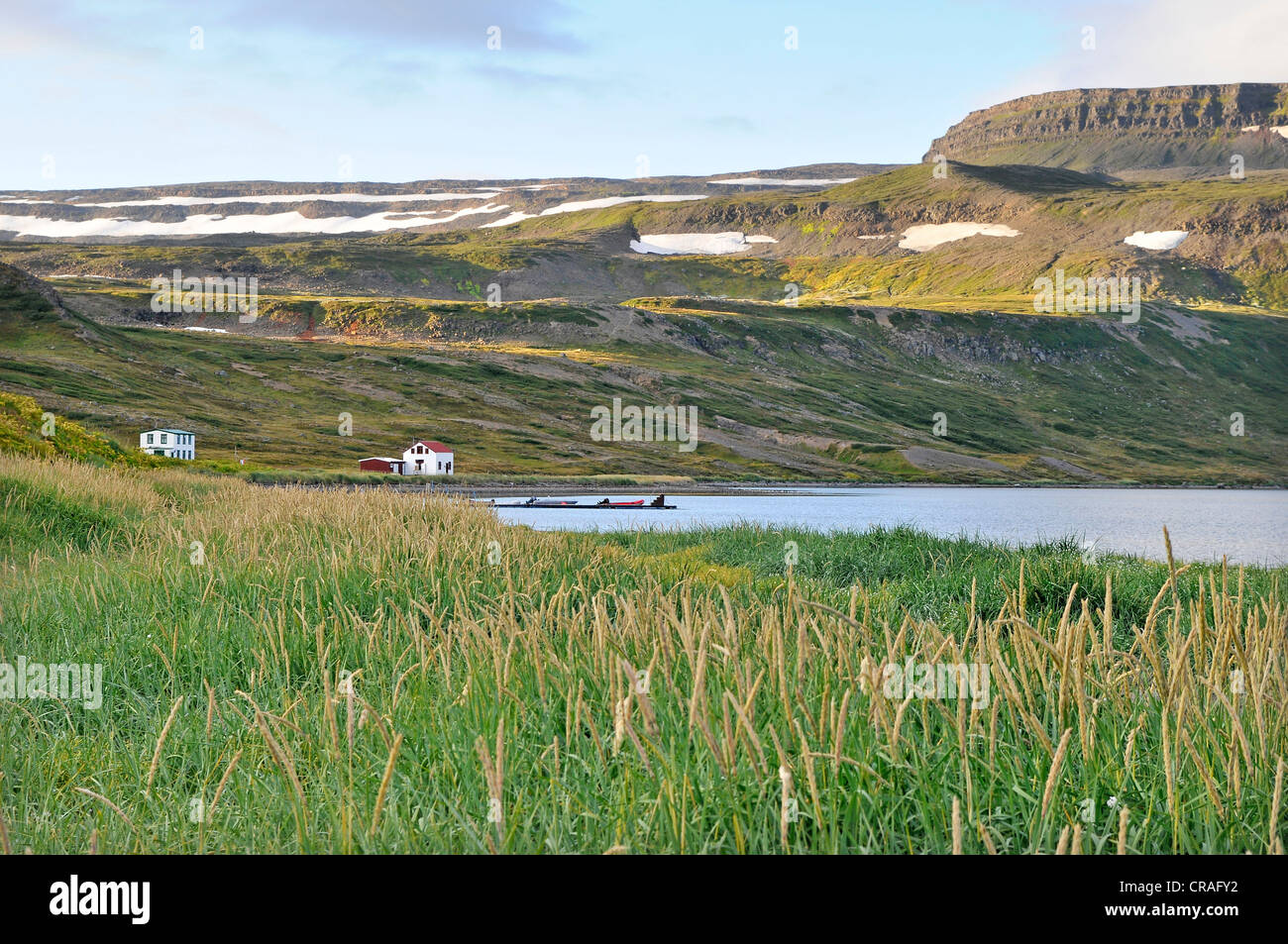 Hornstrandir hesteyri iceland hi-res stock photography and images - Alamy