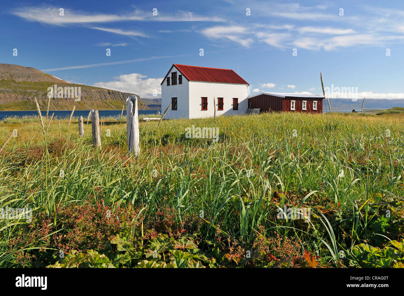 Hornstrandir hesteyri iceland hi-res stock photography and images - Alamy