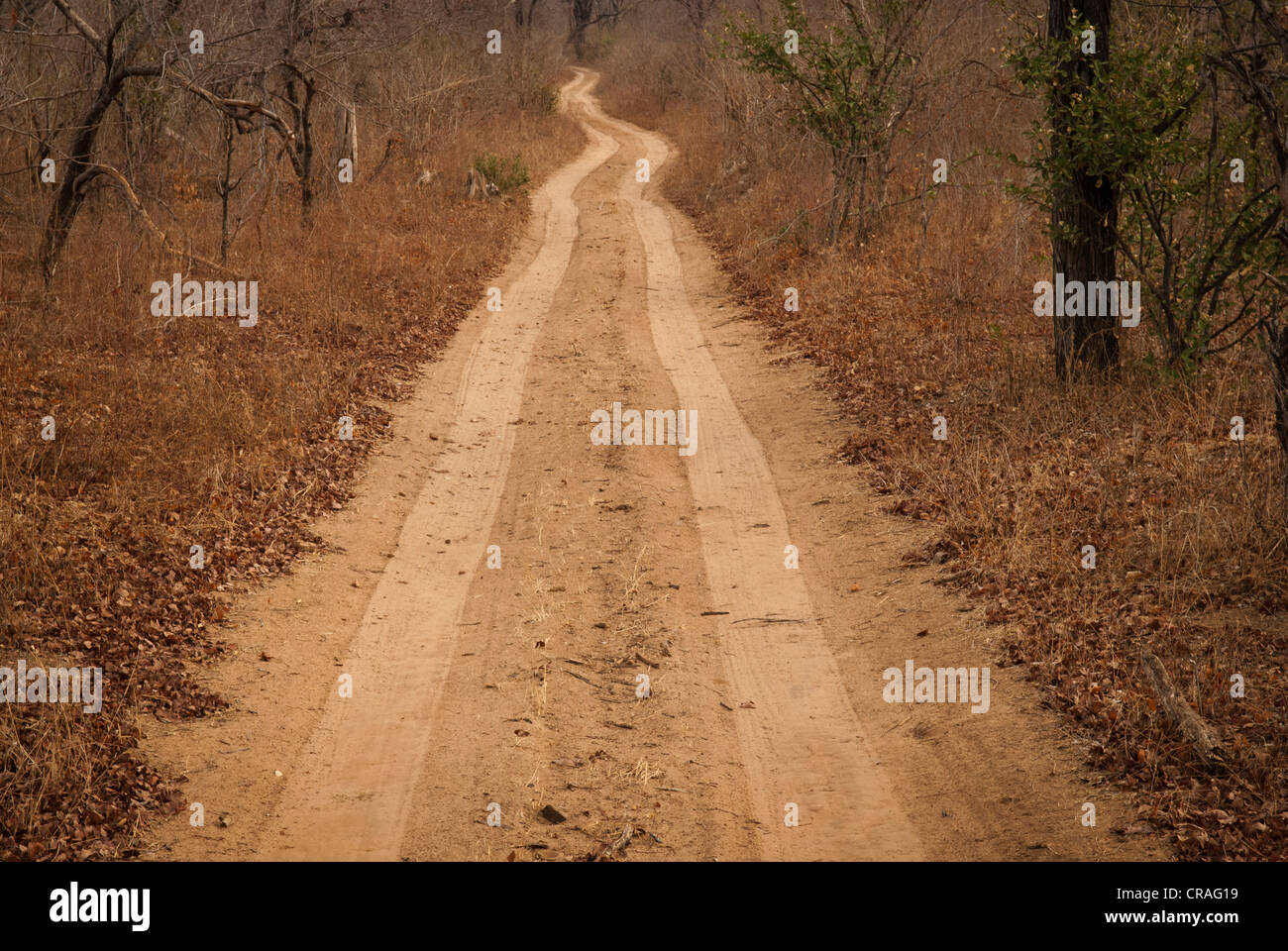 Dirt Track Texture High Resolution Stock Photography and Images - Alamy