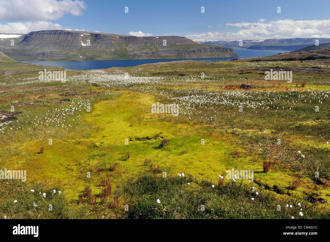 Hornstrandir hesteyri iceland hi-res stock photography and images - Alamy