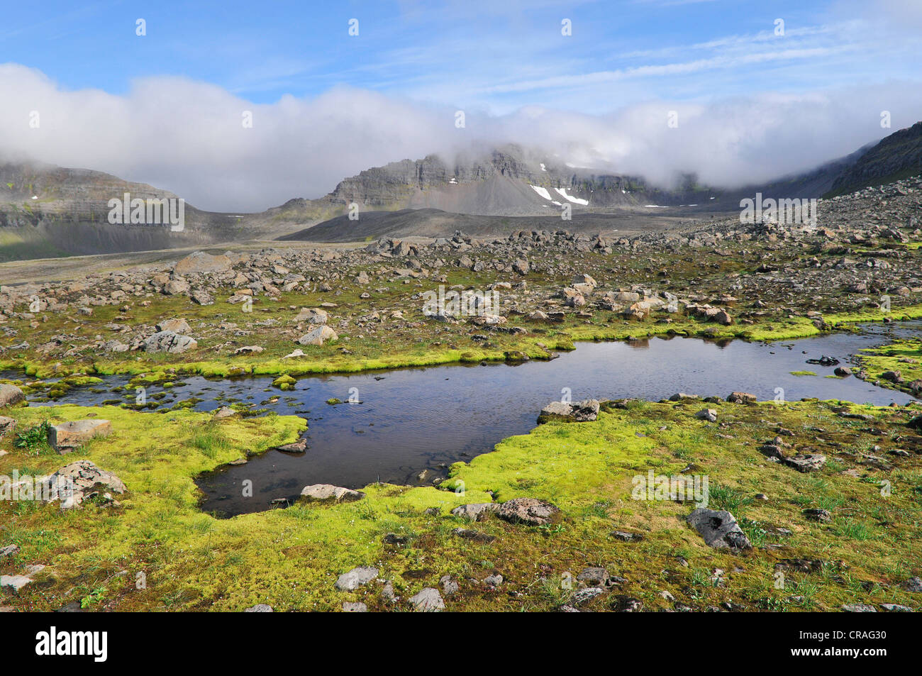 Fontinalis antipyretica water moss High Resolution Stock Photography ...