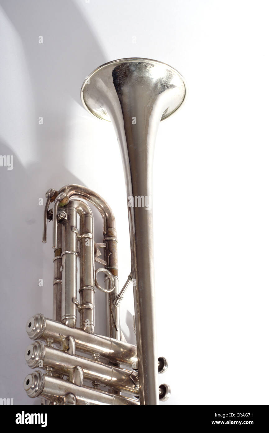 Trumpet shadow hi-res stock photography and images - Alamy