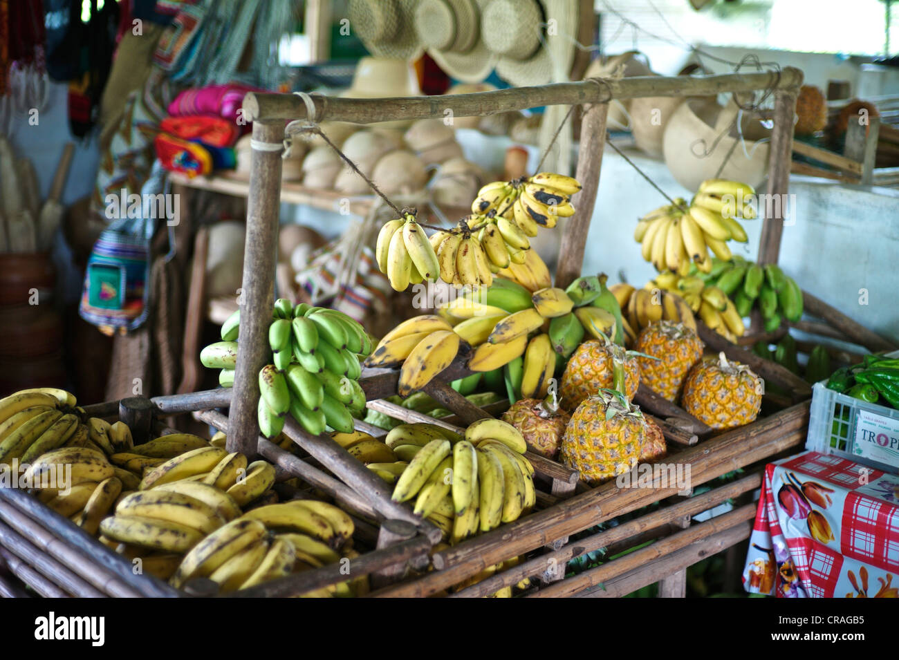 Panama market fruit hi-res stock photography and images - Alamy