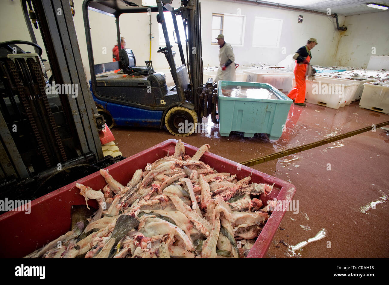 Barents sea fishing hi-res stock photography and images - Alamy