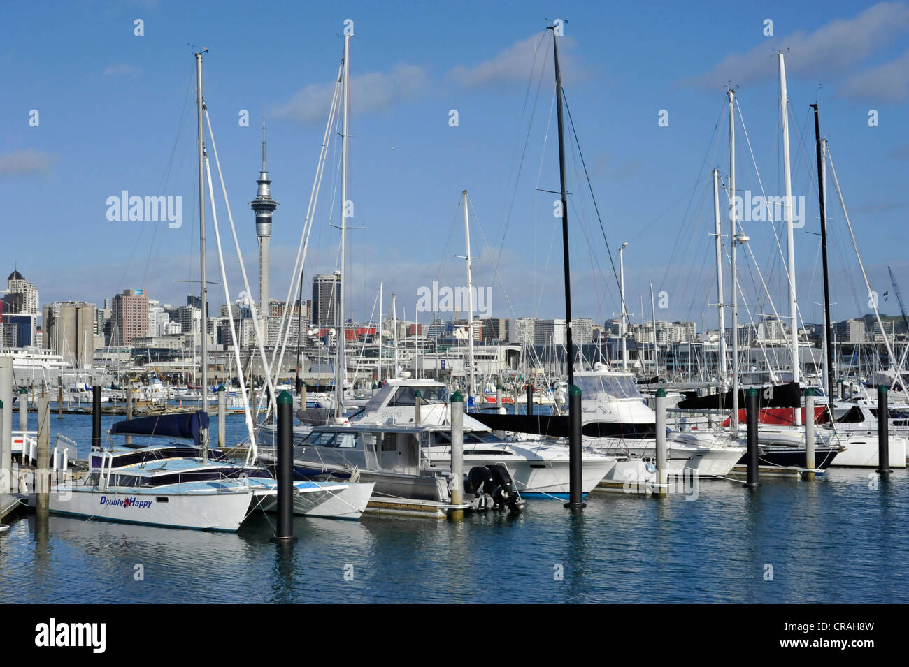 Sailboats in the Westhaven Marina, skyline and Skytower at back ...