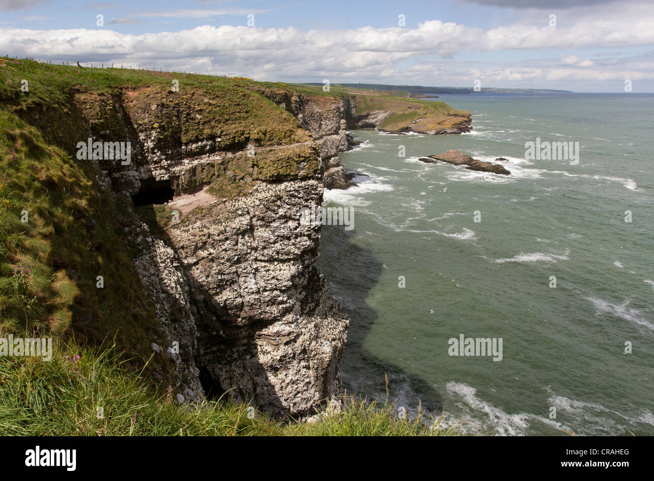 Crawton stonehaven hi-res stock photography and images - Alamy