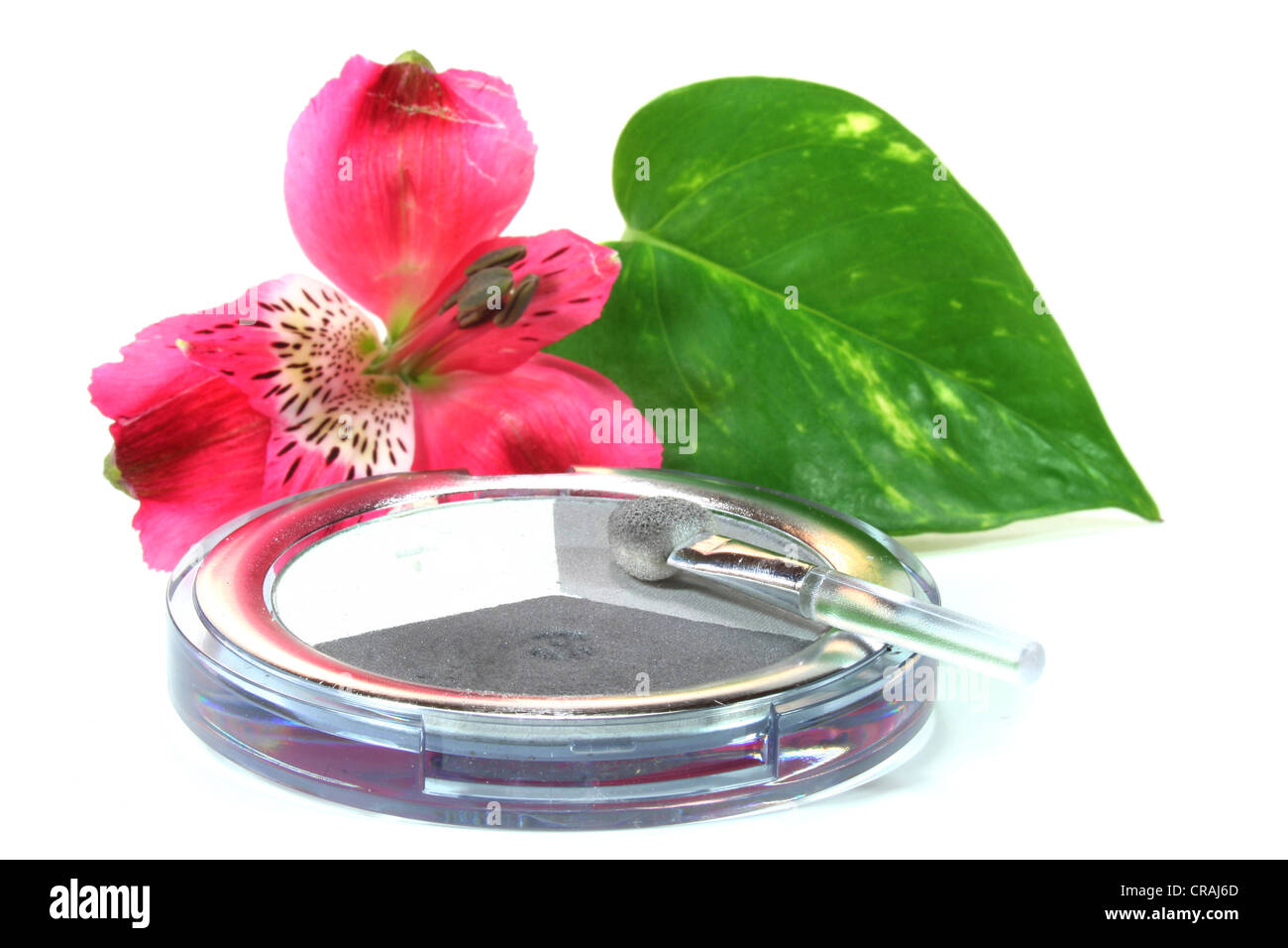 Eyeshadow with leaves and flowers on a white background Stock Photo - Alamy