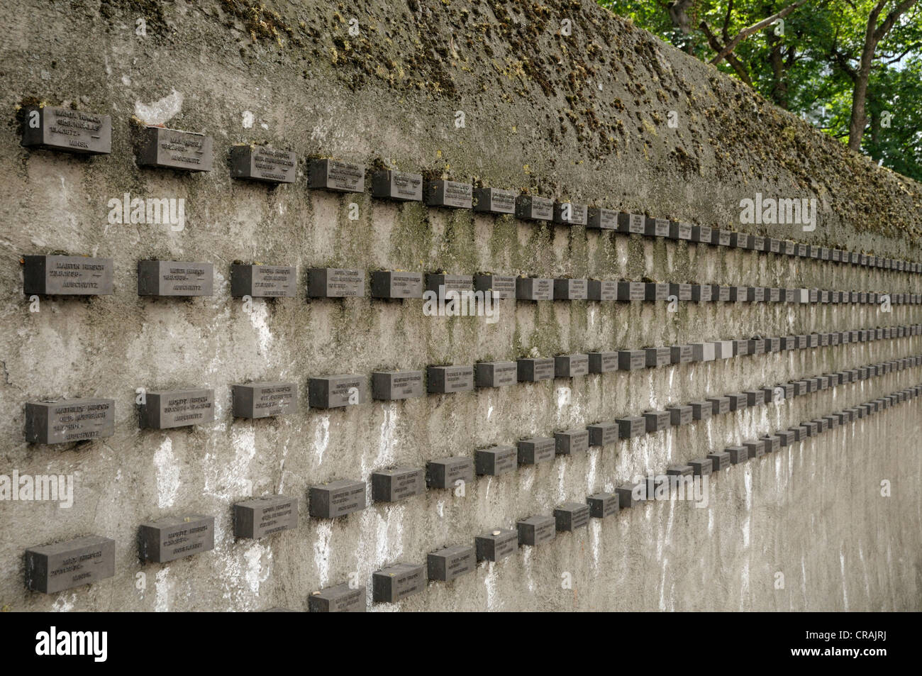 Memorial plaques for Jewish citizens, Jewish Cemetery, Frankfurt am ...