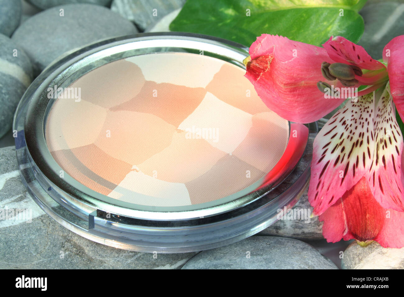 Make-up powder on stones with leaves and flowers Stock Photo - Alamy