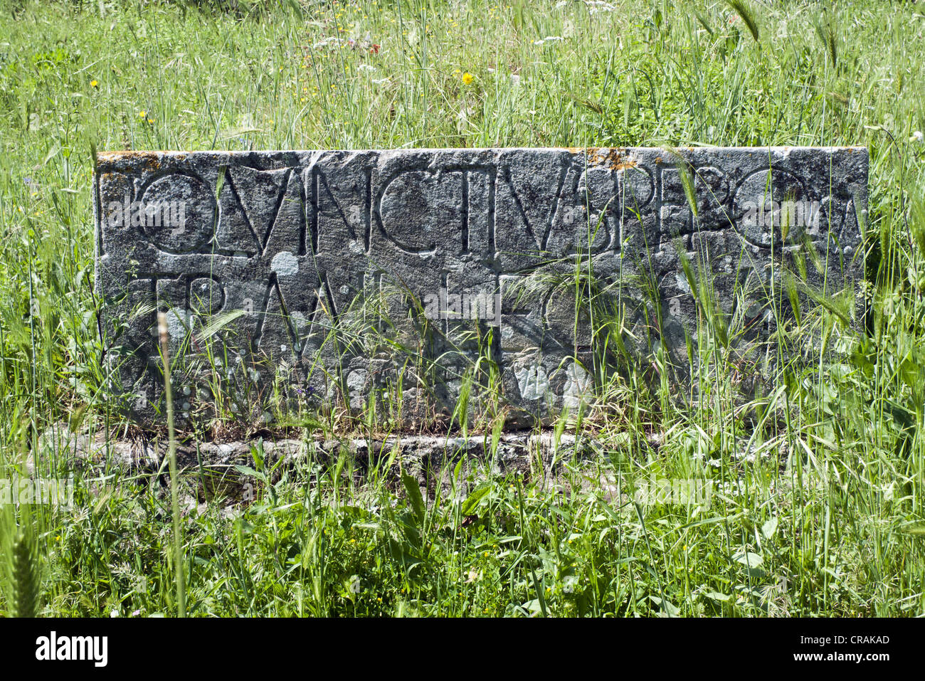 Roman stele with inscription, Appia Antica, Rome, Italy Stock Photo - Alamy