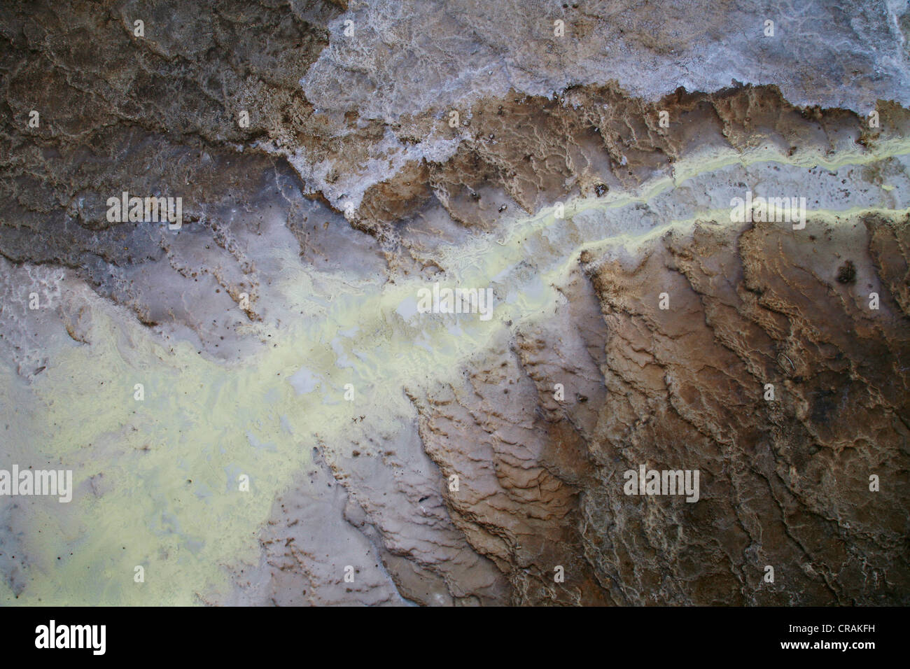 Detail, sinter terraces with structures formed by coloured minerals ...